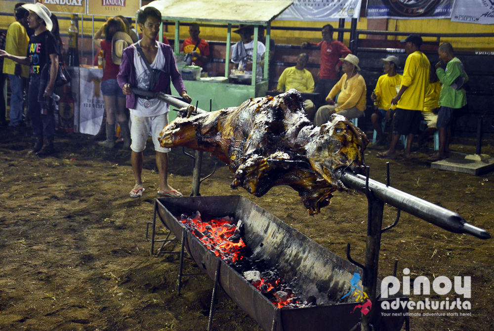 RODEO FESTIVAL Experience in Masbate City | Blogs, Travel Guides ...