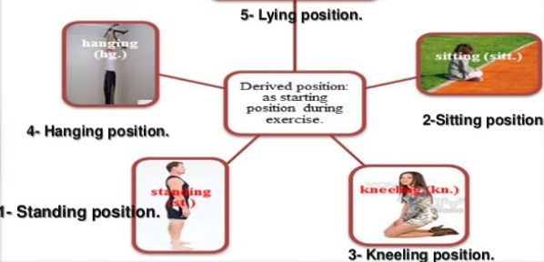 The Sciences Of Human Movements,Go Kinesiology!: Starting and Derived ...