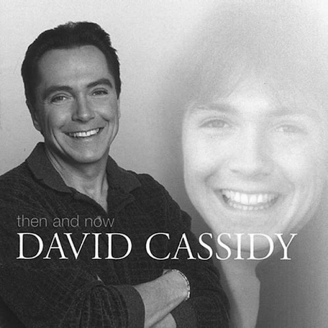 The Lady(Bug) of the Household: R.I.P. David Cassidy