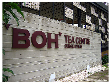 BOH TEA CENTRE | BOH ~ Ummph! Dikongsi Bersama
