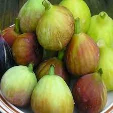 Easy Healthy Tips: Anjeer Fruits