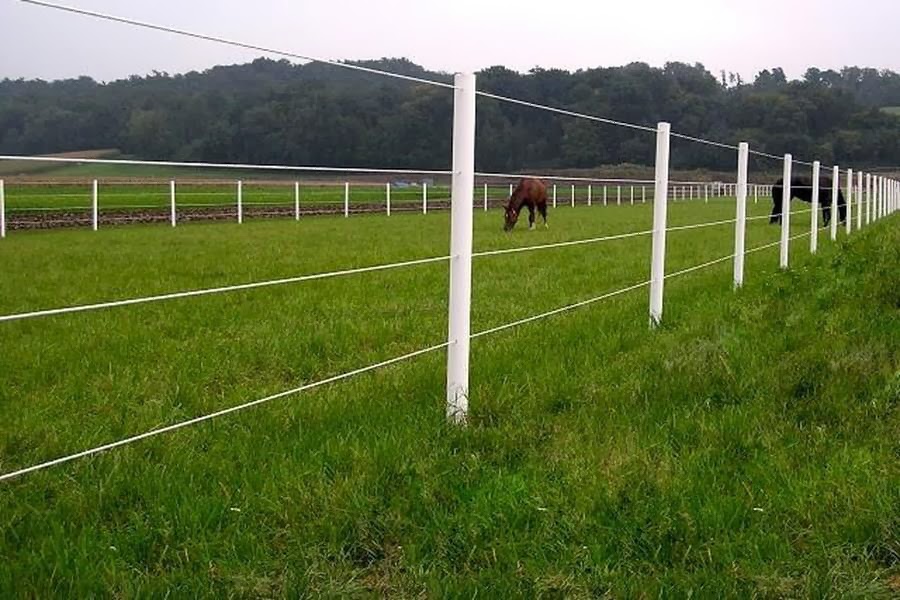 Equisafe Electric fencing - how to select electric fence