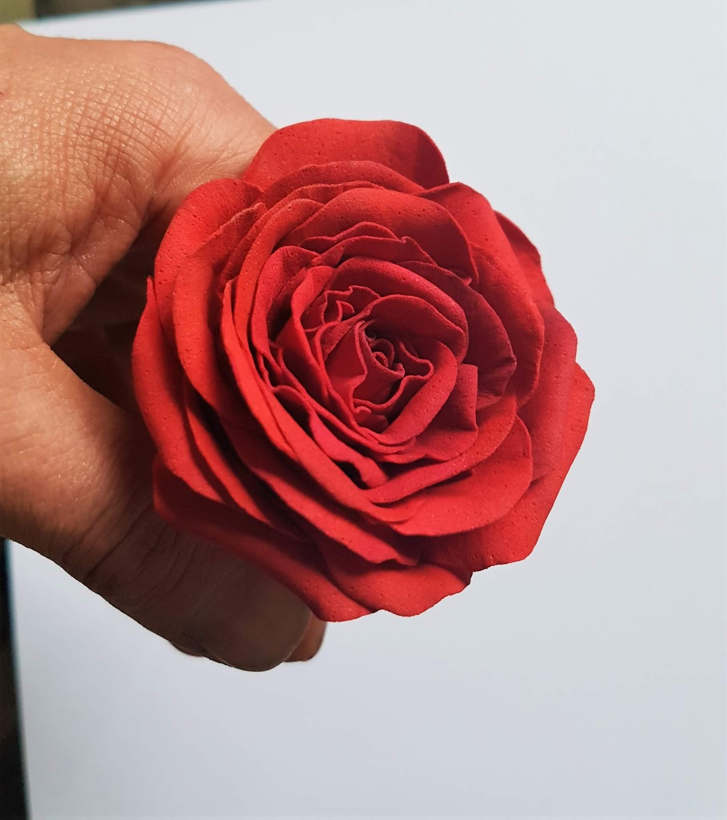 Barnsley Crafter: Simple Red Rose