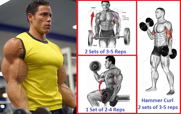 A Bicep Strength Training Routine Bodydulding