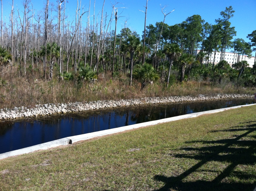 Florida Gulf Coast Universtiy Colloquium Journal: Florida Gulf Coast ...