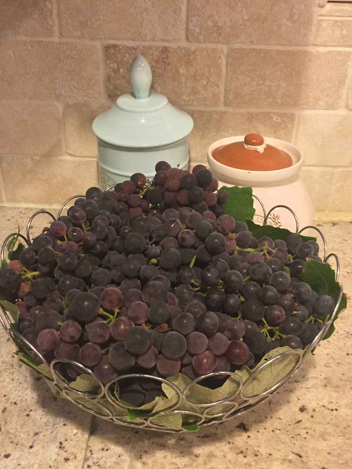 Cheenachatti: Bumper Crop!