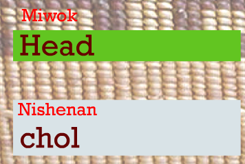 DomP Media: Language Reviatalization