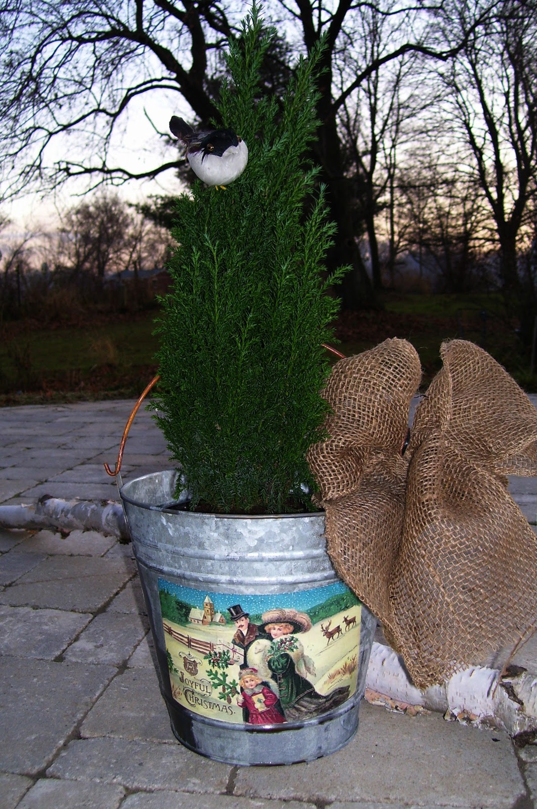 It's All Connected: Rusty Bucket Christmas Tree!