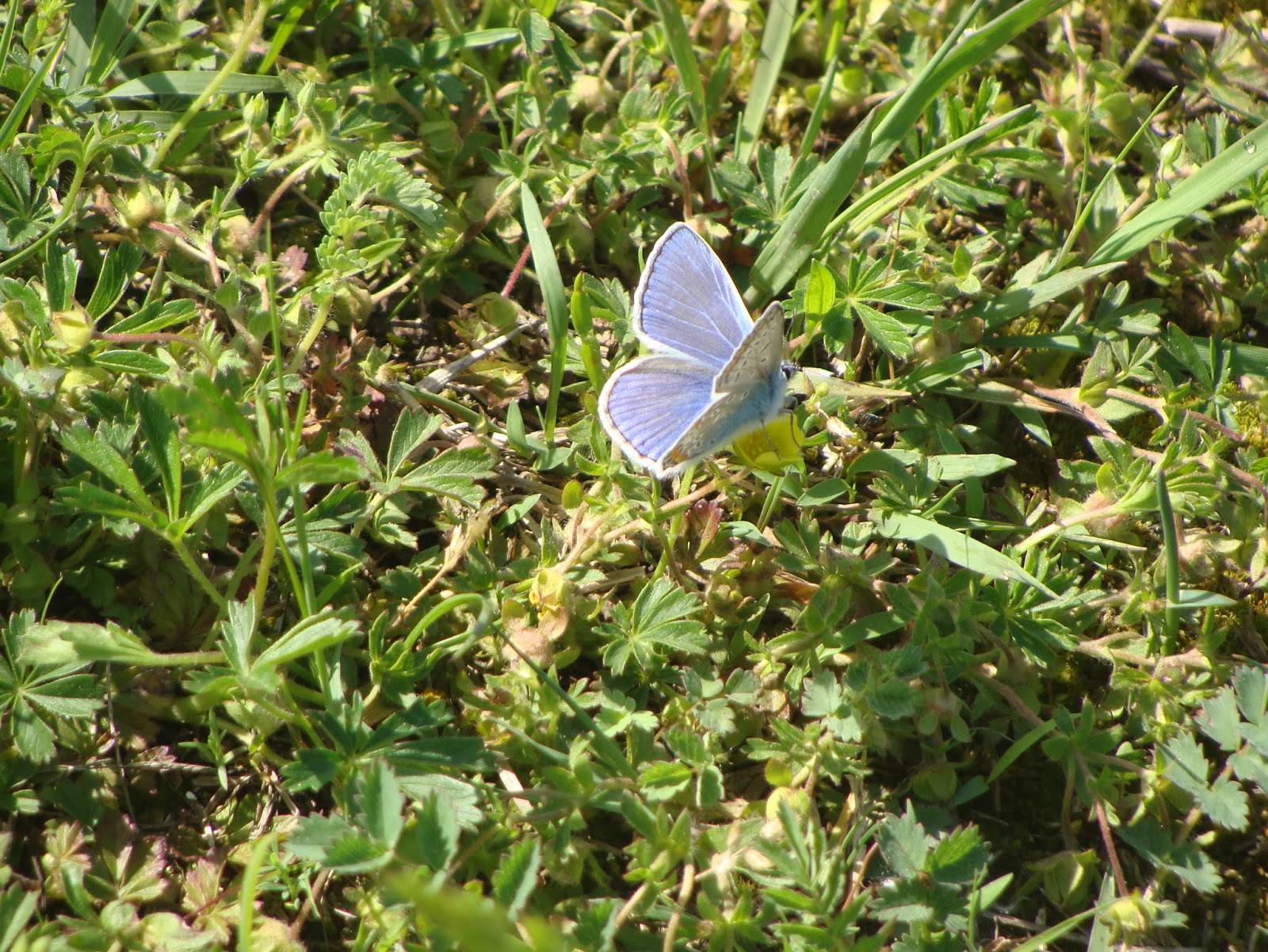 Foto utrinki iz narave: Ormoško jezero