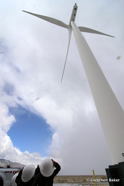 Desert Survivor: Visiting Pattern's Spring Valley Wind Farm