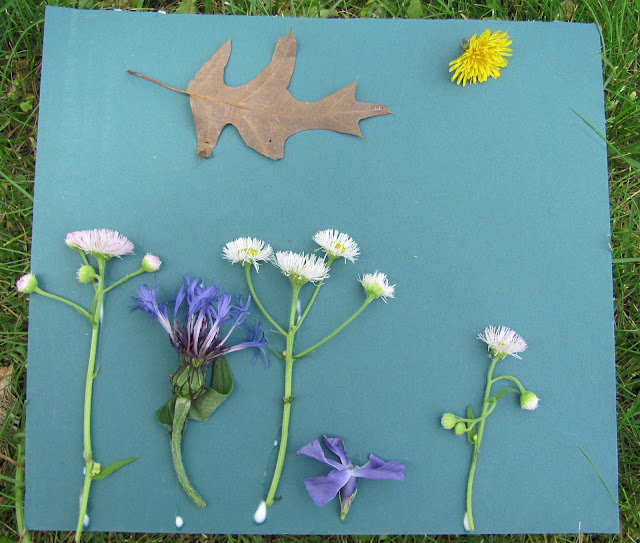 The Chocolate Muffin Tree: Outdoor Nature Collages