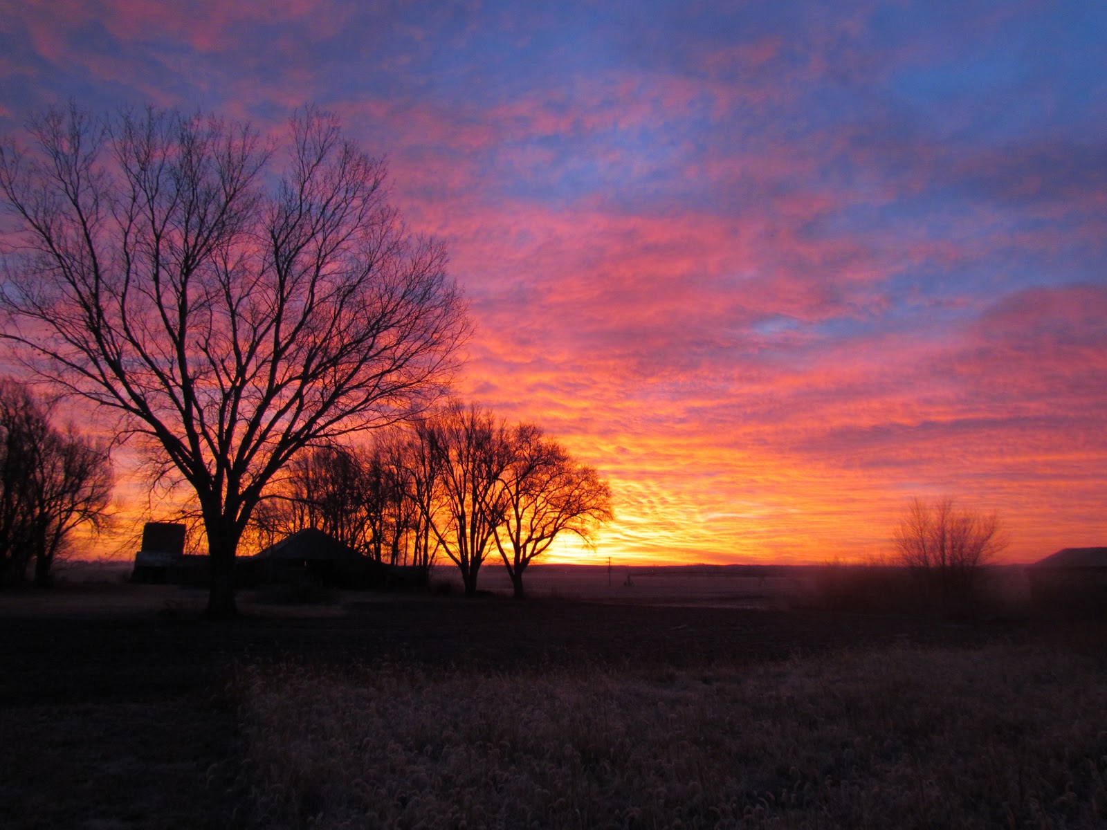 Mary's Be a GoodDog Blog: Farms in Kansas: Beautiful Sunrise, Cows ...