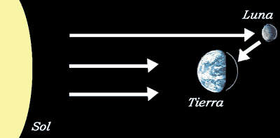 LA TIERRA Y EL UNIVERSO: INFLUENCIA DE LA LUNA SOBRE LA TIERRA