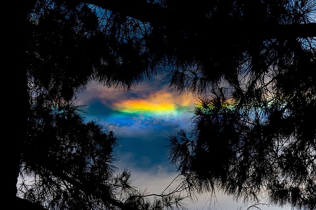 Optoelektronika Yang Belum Anda Tahu: Fenomena 'Pelangi Api' Paling ...