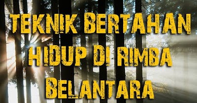 TEKNIK BERTAHAN HIDUP DI HUTAN BELANTARA ~ PECINTA ALAM INDONESIA
