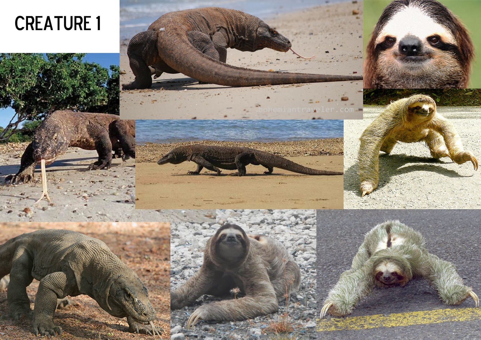 Advanced Character Animation: Concepting the Creature