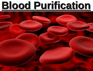 the most important thing in life: Home Remedies For Blood Purification