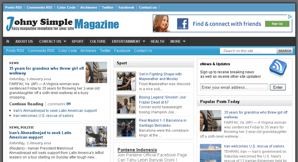 Johny Simple Magazine, Easy Magazine Template For Your Site