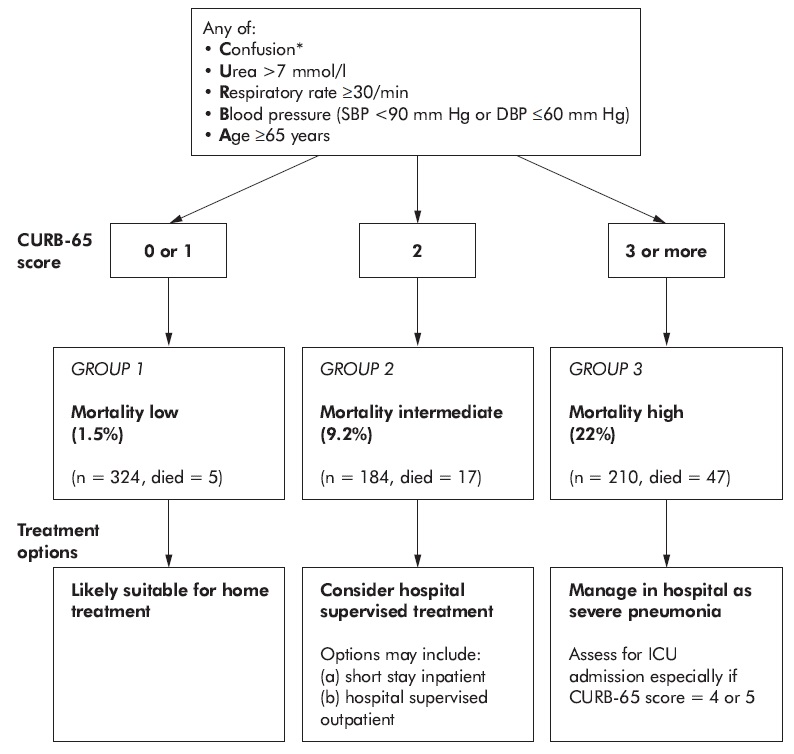 松下 ER ランチ・カンファレンス: CURB-65