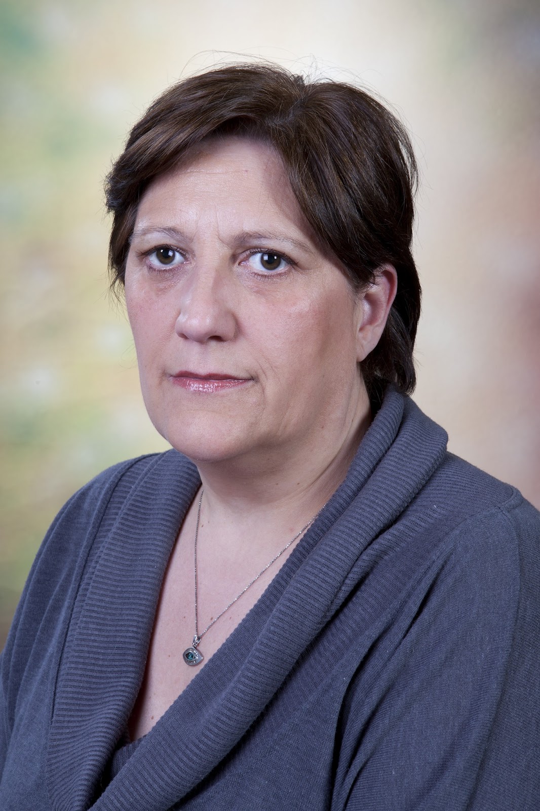 Massimo Borghi: Elezioni 2013