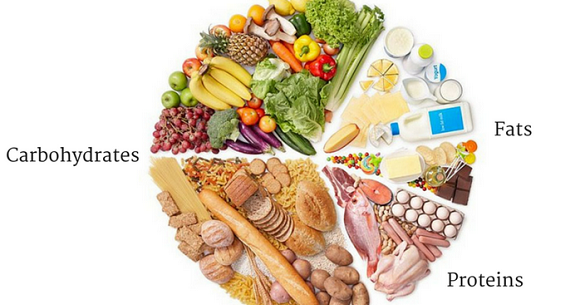 Proteins Fats And Carbohydrates Pfc