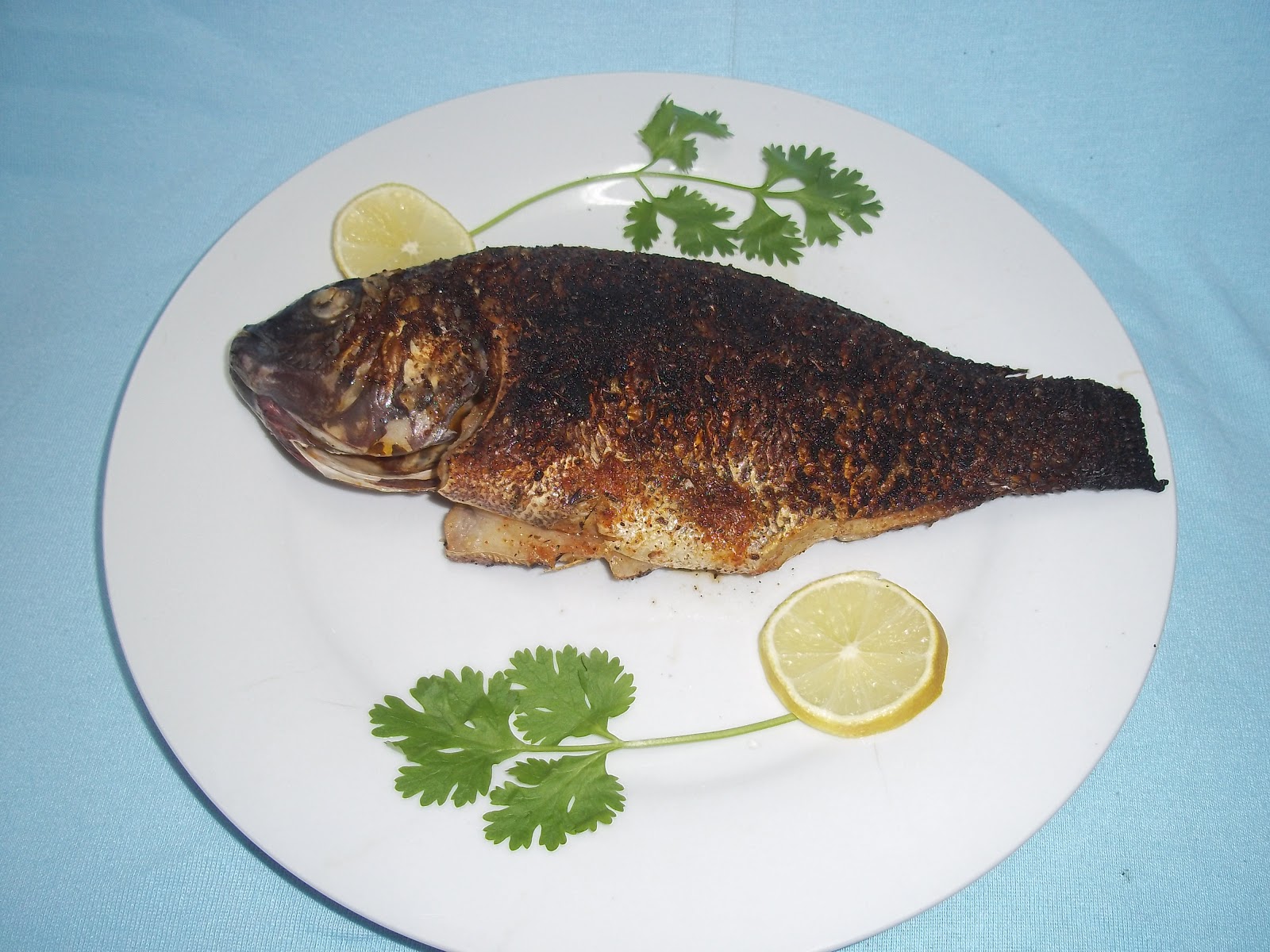 Blackened Fish Recipe- 2 Ways | Penniless Parenting