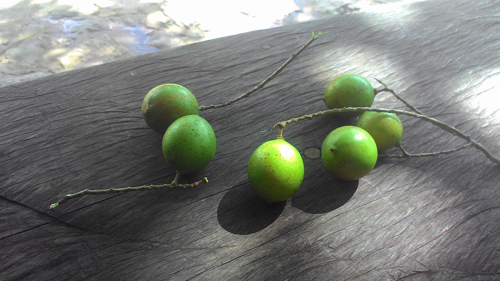 Keith's Blog: Breaking a rule to buy Guaya Fruit