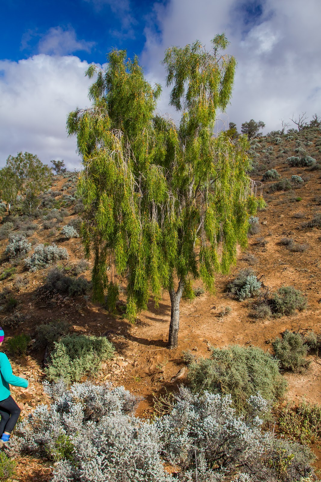 The Kyle family trip: July 2012