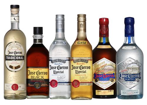 poryecto primer parcial casa jose cuervo: descripcion quien es la casa ...