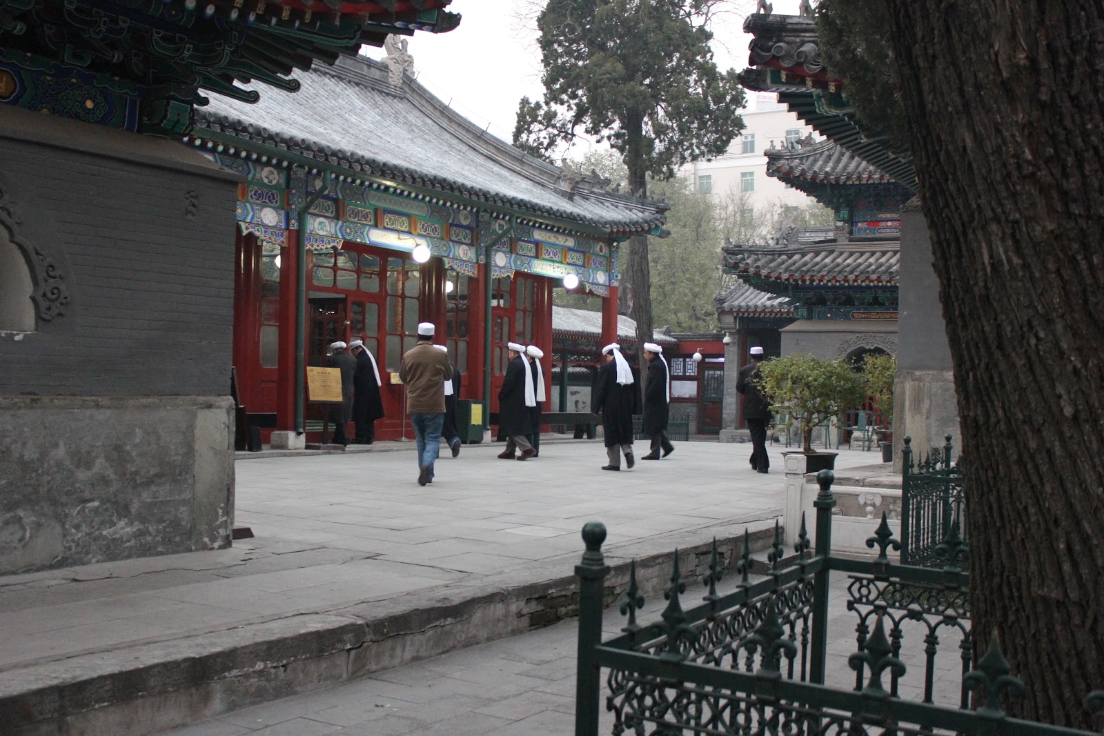 India Trekker: March 2013