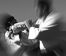 Tecnica: SHIHONAGE | Aikido Argentina