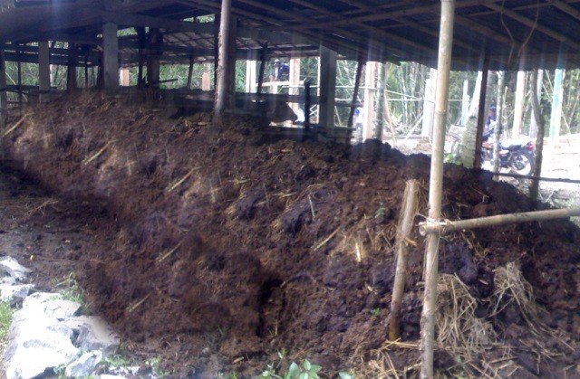 Pupuk Kotoran Sapi Sukabumi | sukabumi nursery