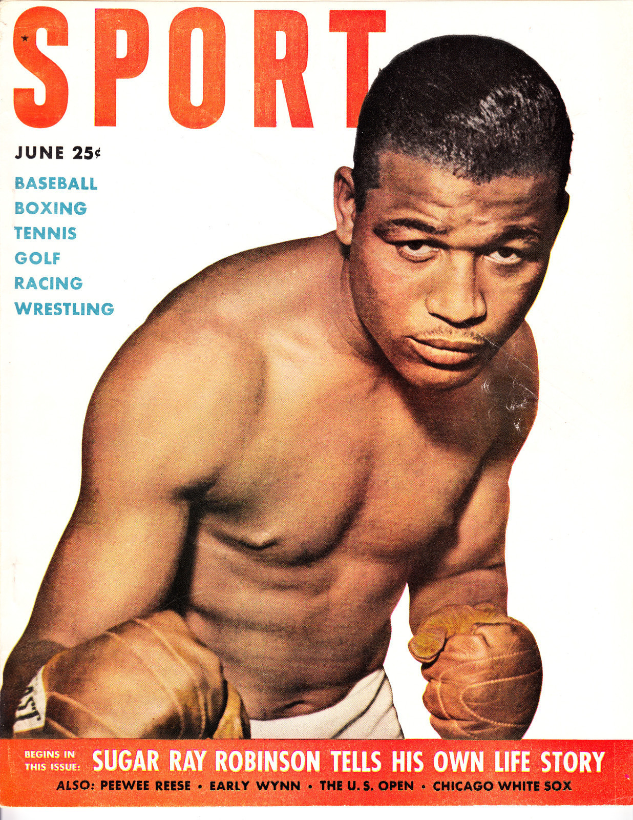 Bio Sugar Ray Robinson at Hugo Carter blog