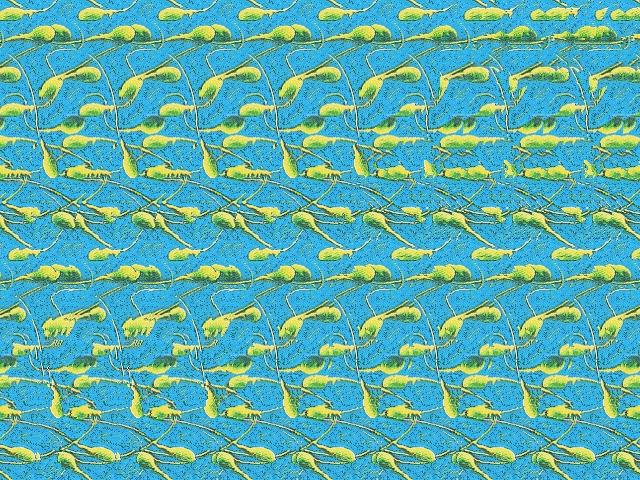 EL CUENTACUENTOS: ESTEREOGRAMAS -- 2 D / 3 D