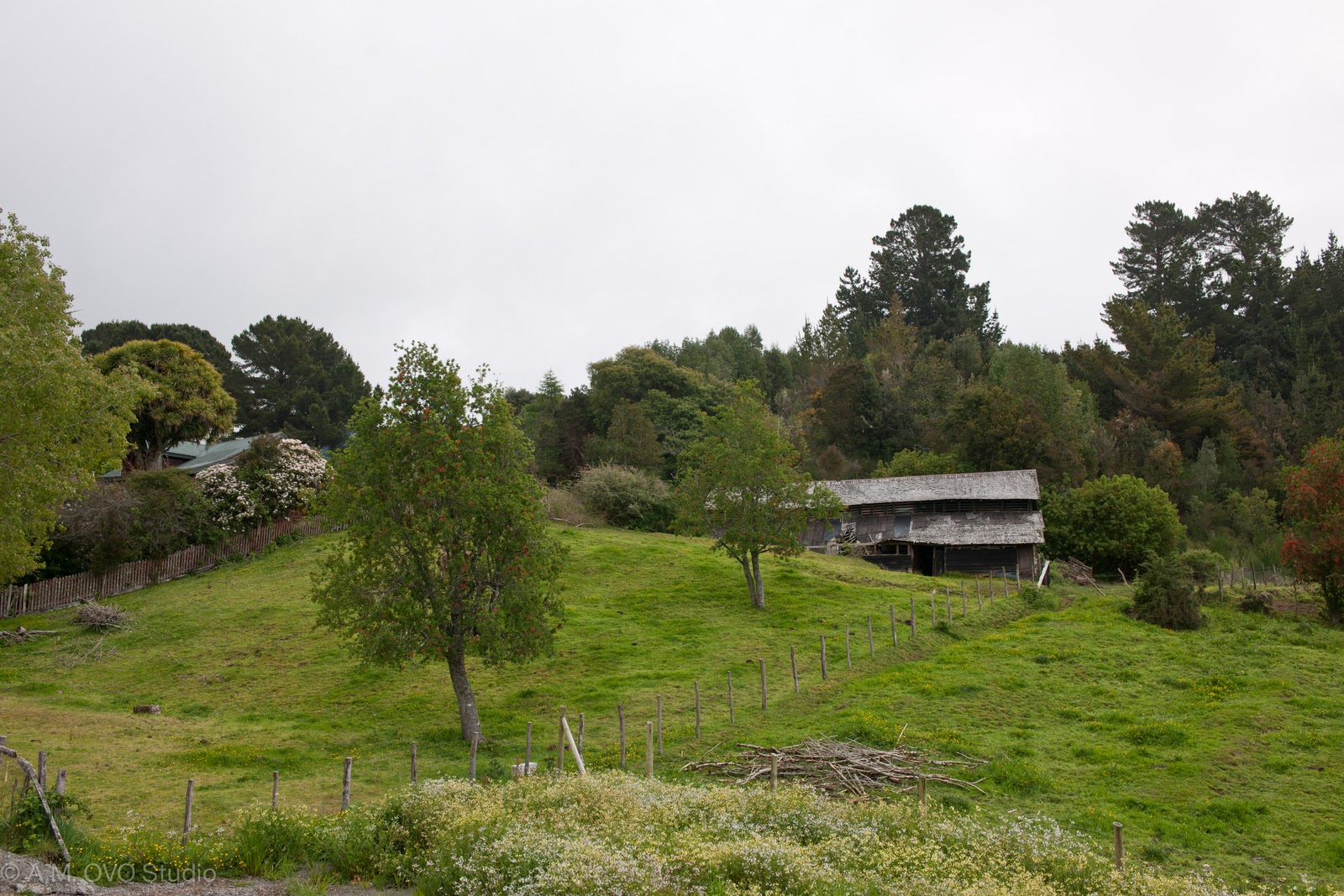 The Spotting Eye: Rural Chile: Curamó and Chacao, Isla de Chiloé, X ...