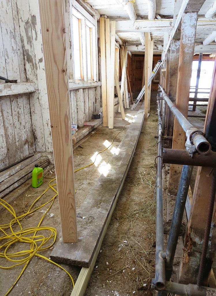 Windswept Adventure: Building A Cattle Squeeze Chute
