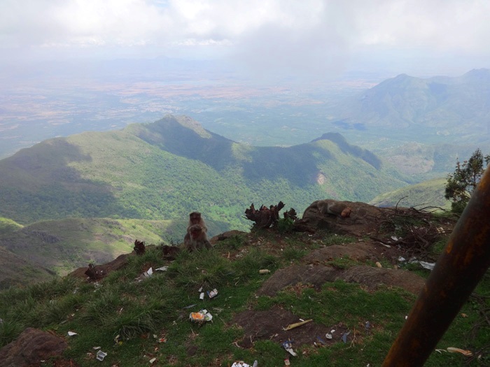 Tamilnadu Tourism: Green Valley View, Kodaikanal