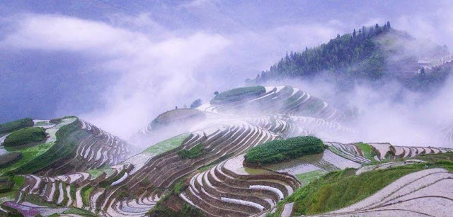 Rice terraces in Southeast Asia and China. - FUTURISTIC ARCHITECTURE