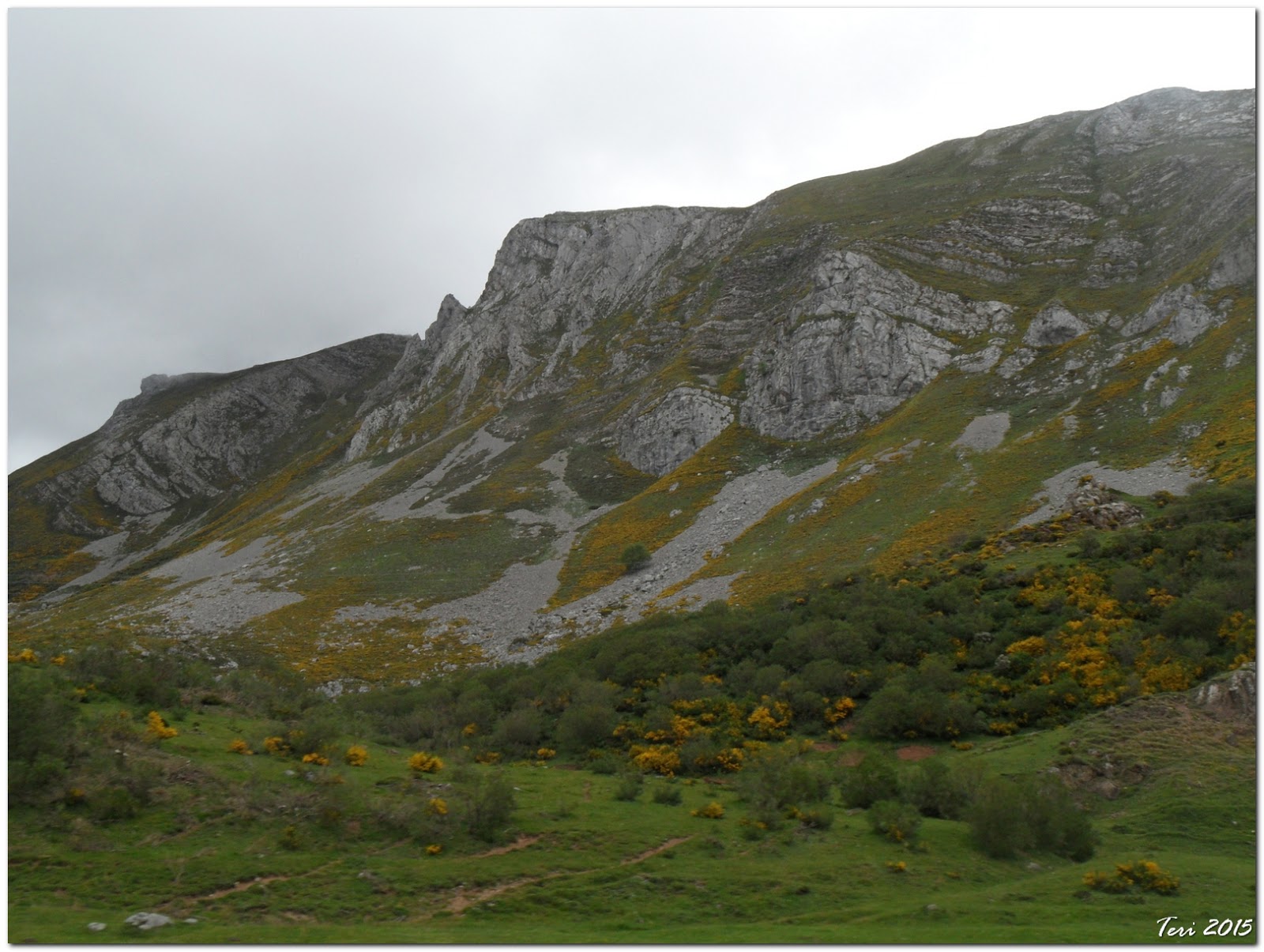 Andandarás: mayo 2015