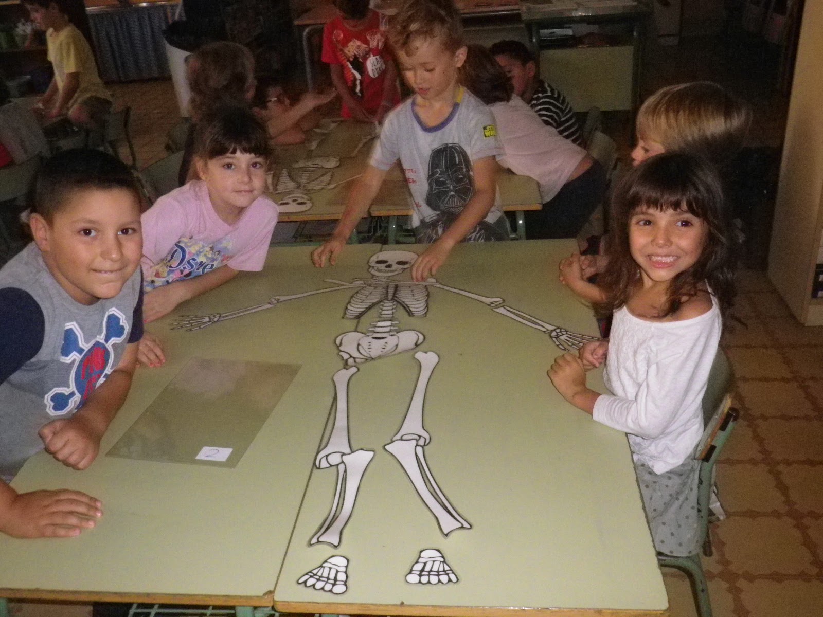 Cicle Inicial: JUGUEM A MUNTAR L'ESQUELET