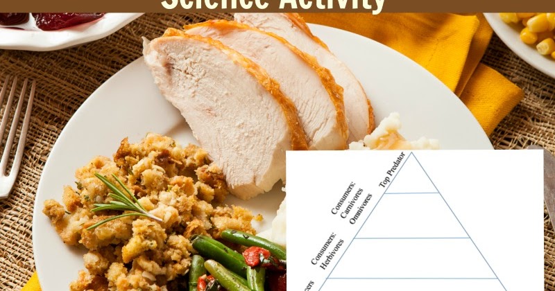 Share it! Science : Thanksgiving Dinner Trophic Pyramid Activity