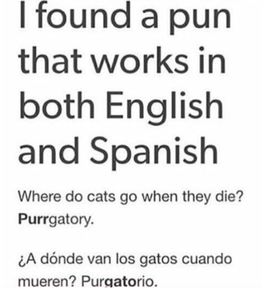 Skip's House of Chaos: Bilingual Pun