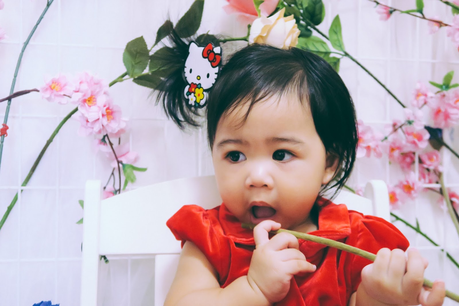 Pre-1st Birthday Photo Shoot: Hello Kitty's Secret Garden | A ...