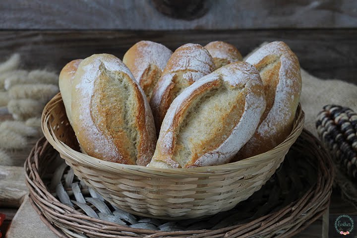 PULGUITAS | El jardín de mis recetas
