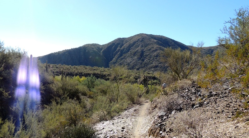 mnkcusa: Black Canyon City AZ, Black Canyon Trl