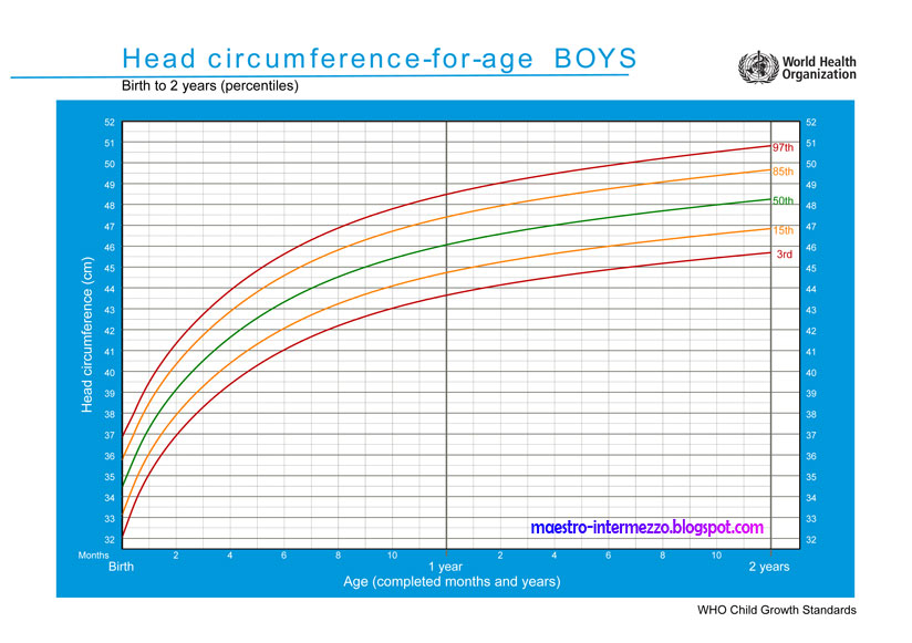 Maestro Intermezzo by Agus Supriyanto: Lingkar Kepala Bayi dan Balita ...
