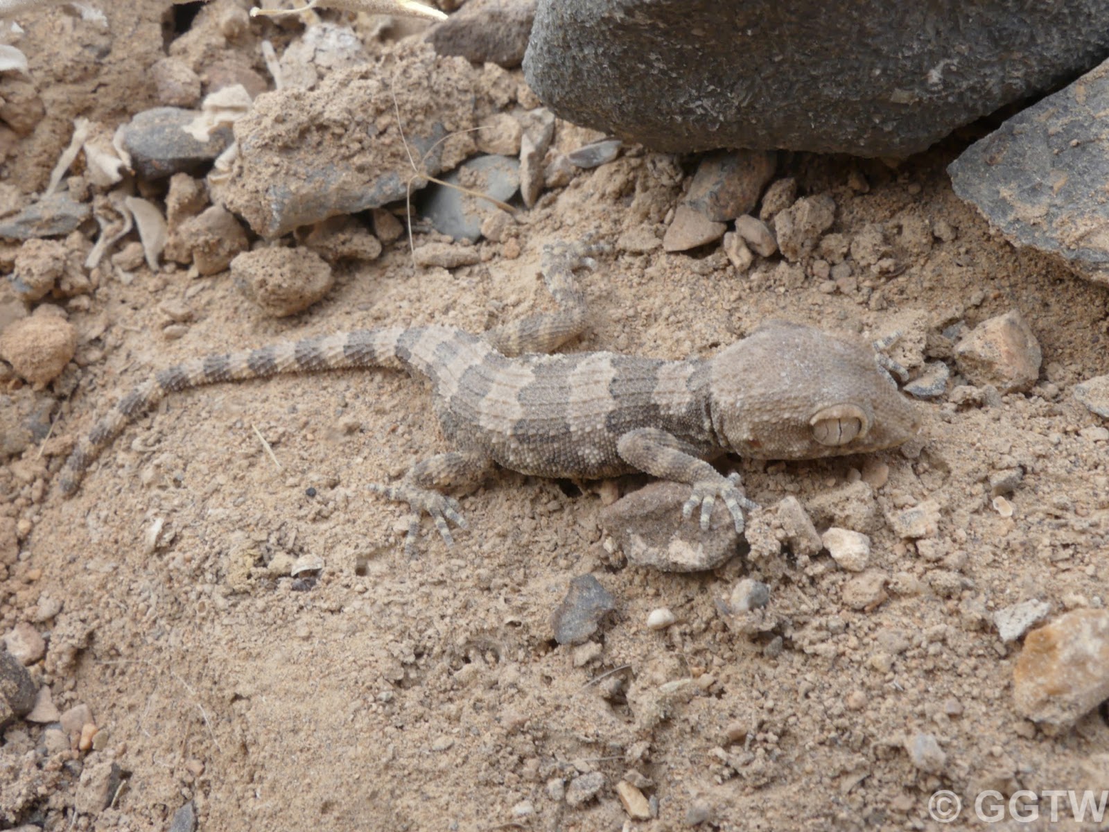 experience the holiday: Oman, 8-18 February 2017