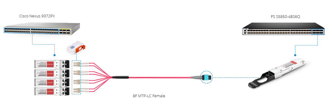How to Choose MTP/MPO Cable for 10G/40G/100G Connections?