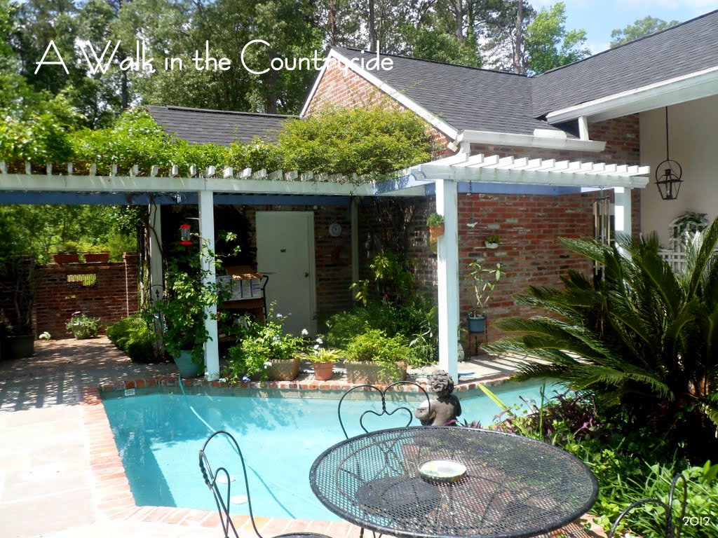 A Walk in the Countryside: Courtyard Oasis
