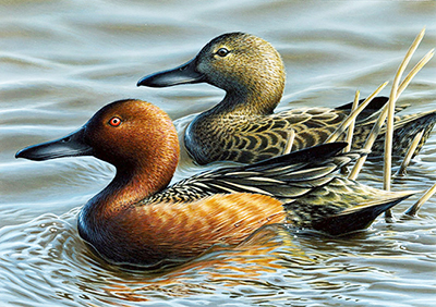 Hamparan Seni: Itik Mandarin